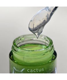 Prickly Pear Cactus Plumping Mask - Whamisa| MonCornerB